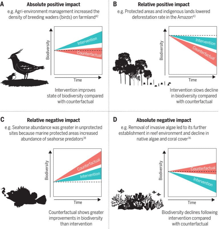New study says conservation works, providing hope for biodiversity efforts