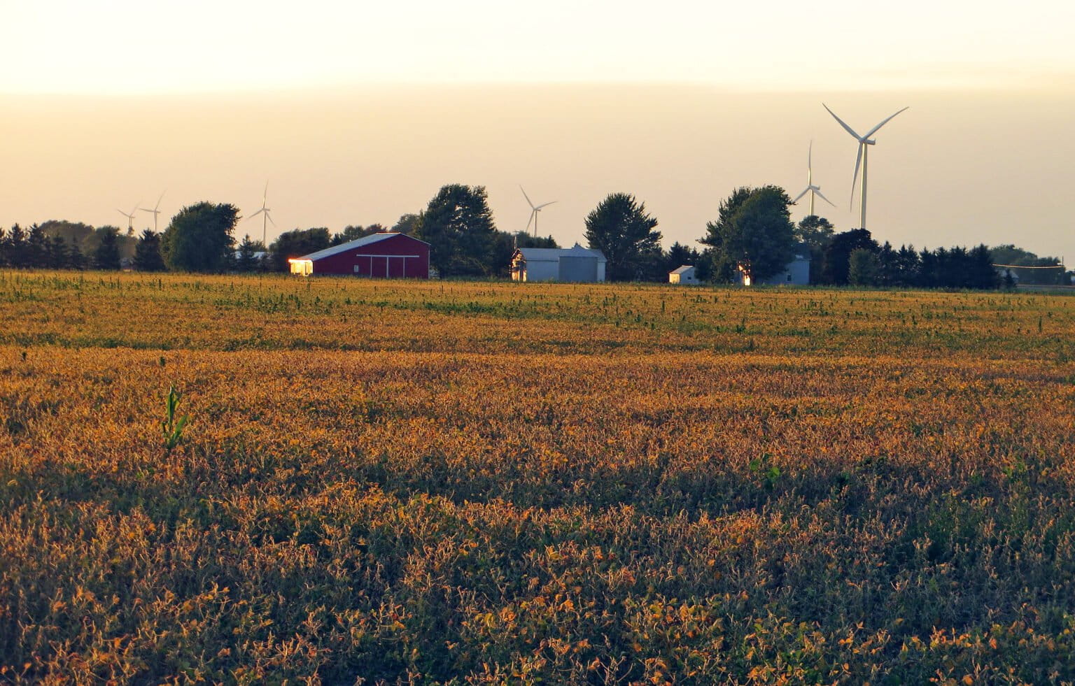 Indigenous communities make clean energy drive work for, not against, them