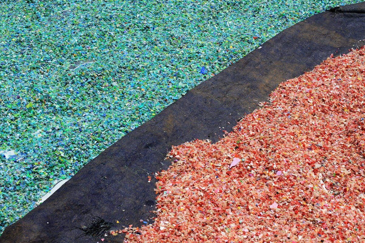 Scientists explore nature’s promise in combating plastic waste