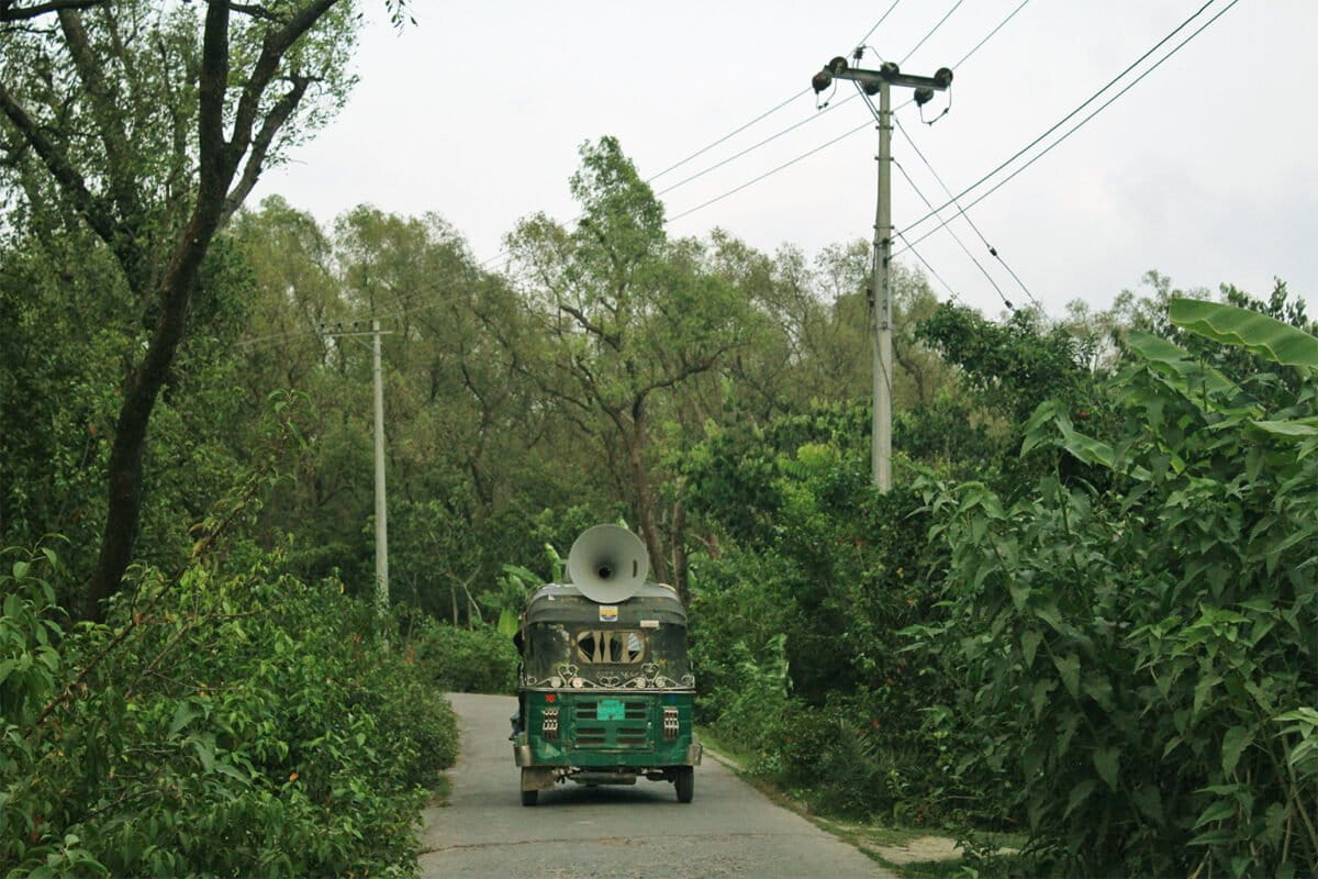 Bangladesh island’s switch from solar power to fossil fuels threatens birds