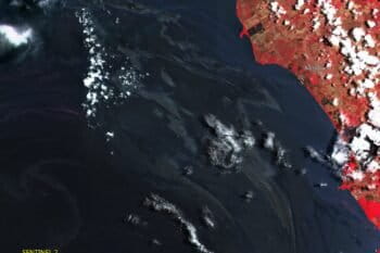 Venezuela's shrimp farms push for sustainability against hardship and ...