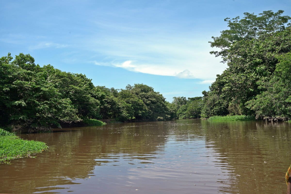 Tackling climate change in one of Colombia's largest wetlands