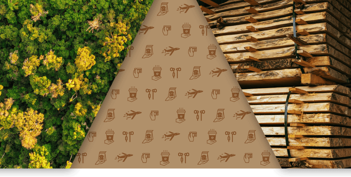 Top brands buy Amazon carbon credits from suspected timber laundering scam