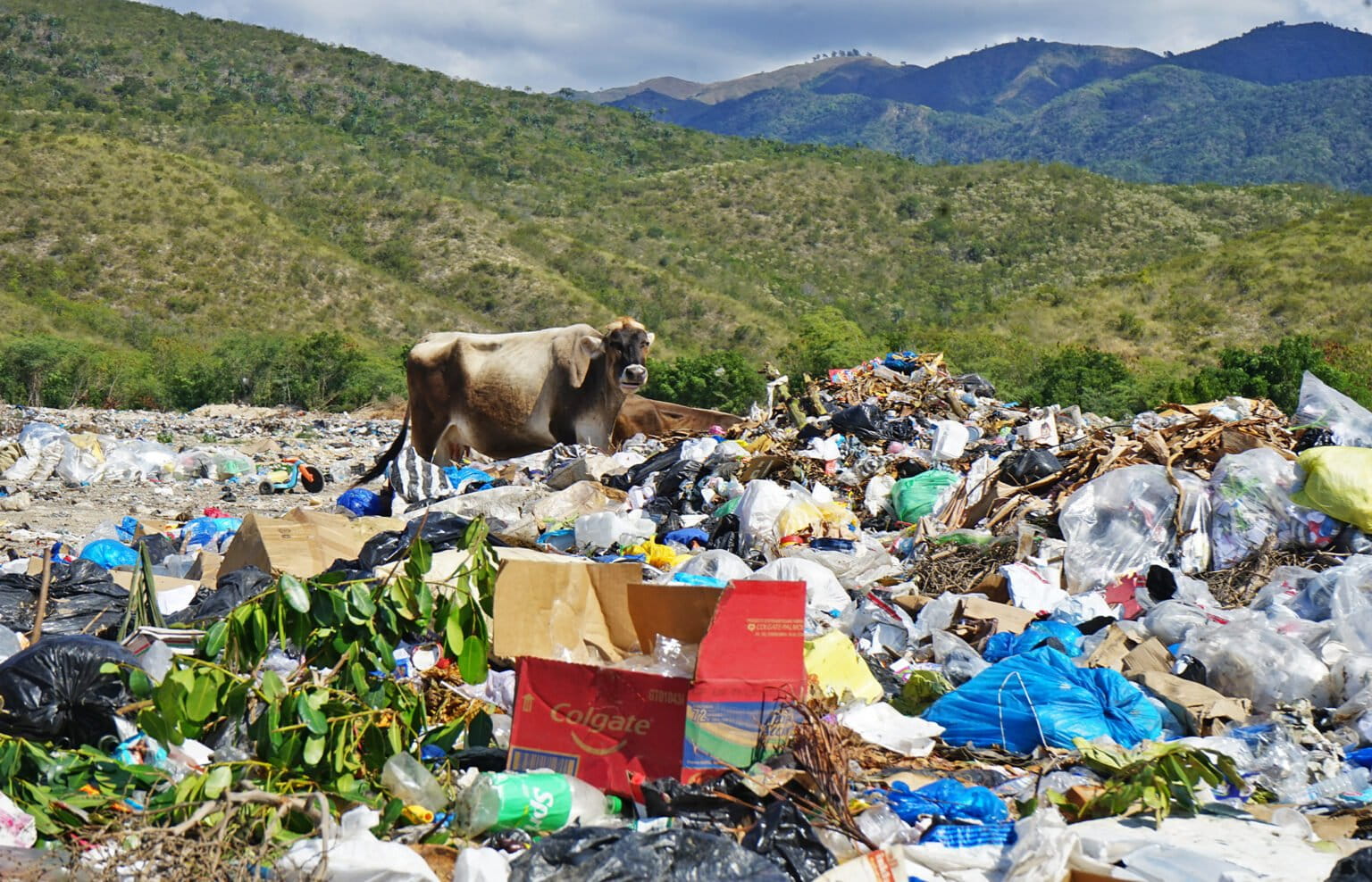 Can the circular economy help the Caribbean win its war against waste?
