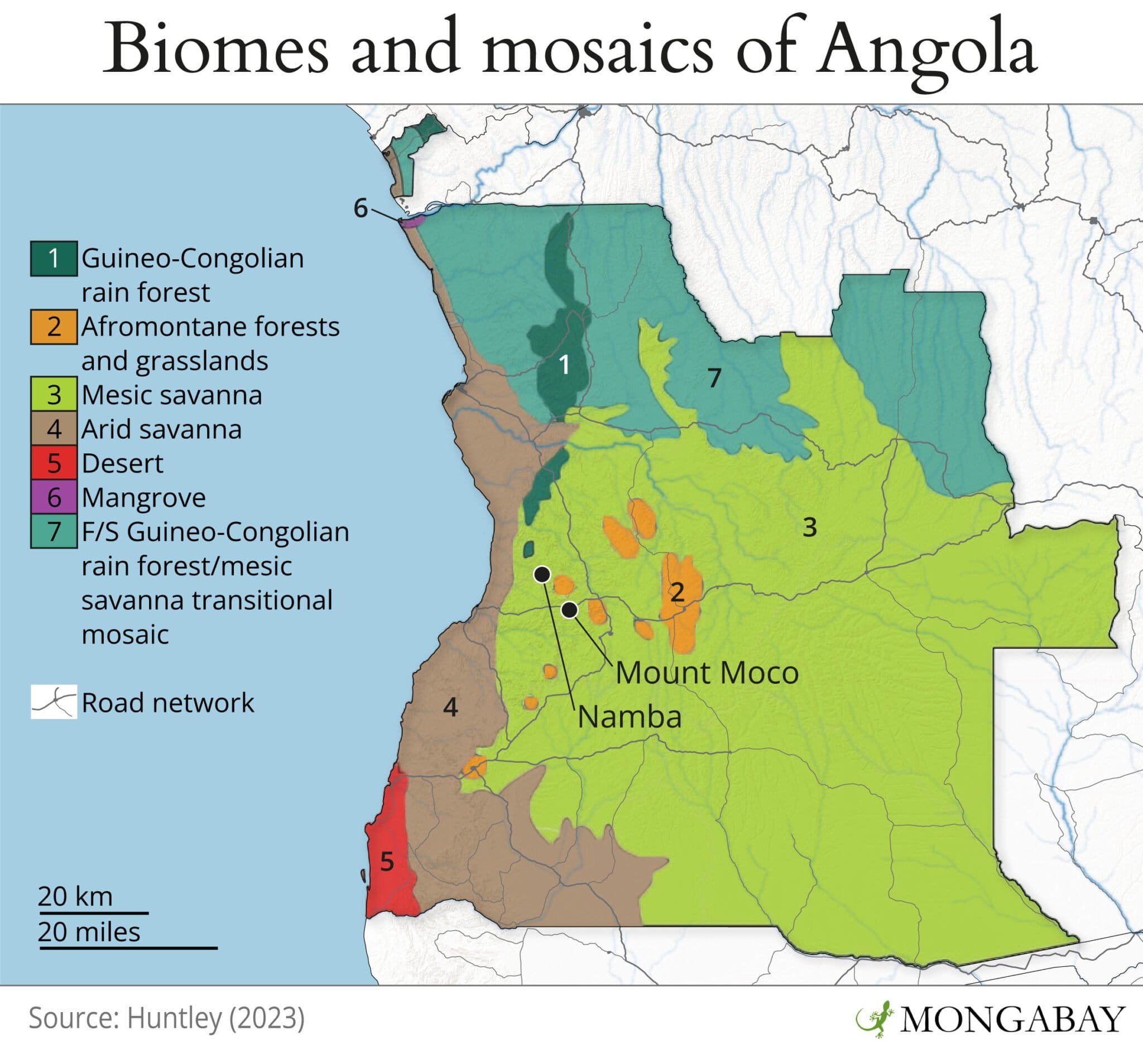 All conservation is local: Interview with Angolan conservationist ...