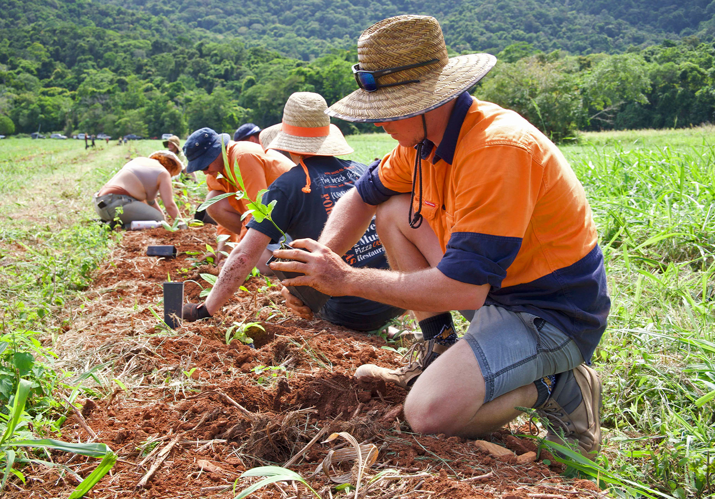 Across reforestation organizations, best practices claims abound, but ...