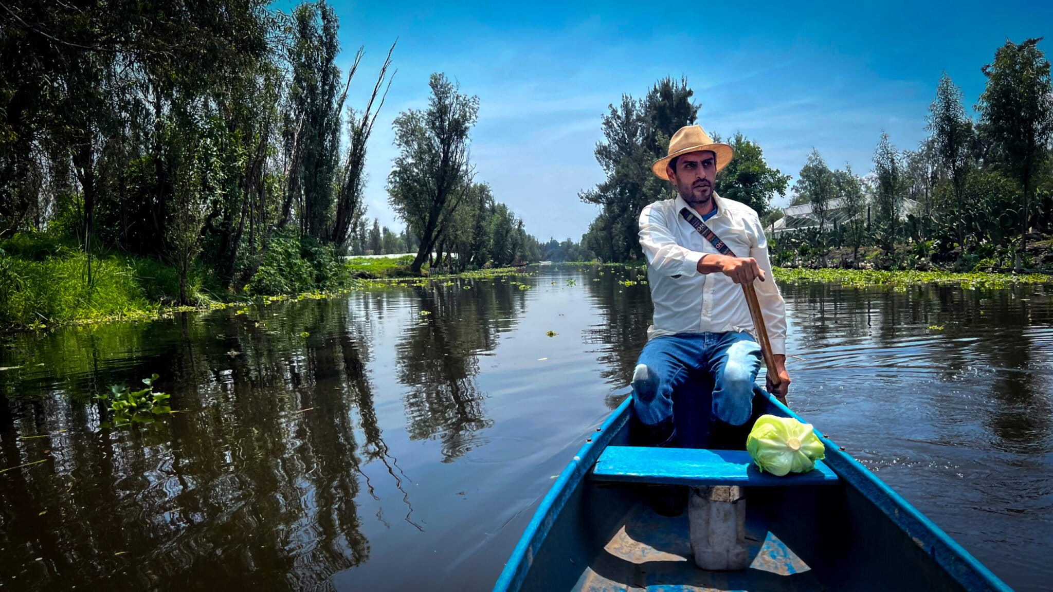 Scientists and farmers restore Aztec-era floating farms that house axolotls