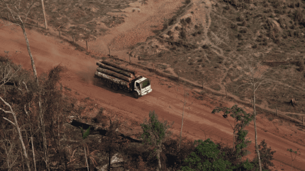 Verra suspends carbon credit projects following police raid in Brazil