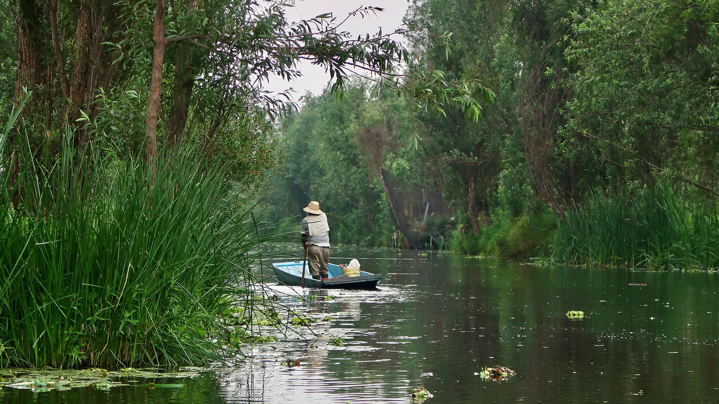 Photos: Exploring Mexico City’s Aztec-era farms, the chinampas