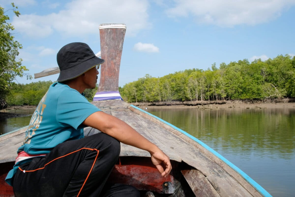 Beekeeping helps villagers tend coastal forests in Thai mangrove hotspot