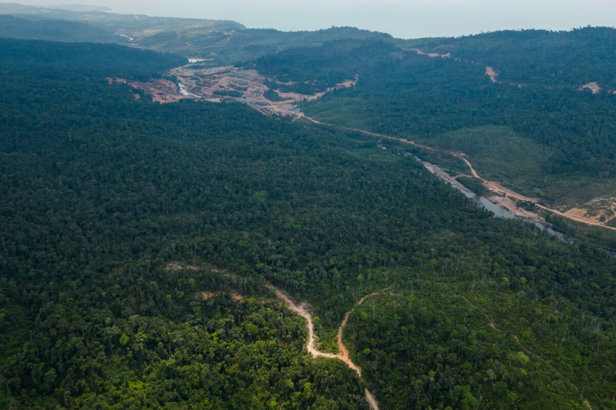 History repeats as logging linked to Cambodian hydropower dam in Cardamoms