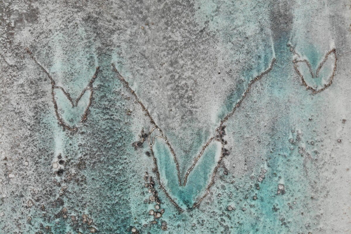 French Polynesians revive traditional rāhui to protect fish — and ...