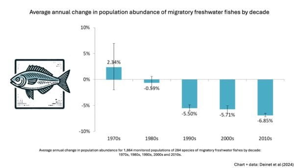 Global migratory freshwater fish populations plummet by 81%: Report