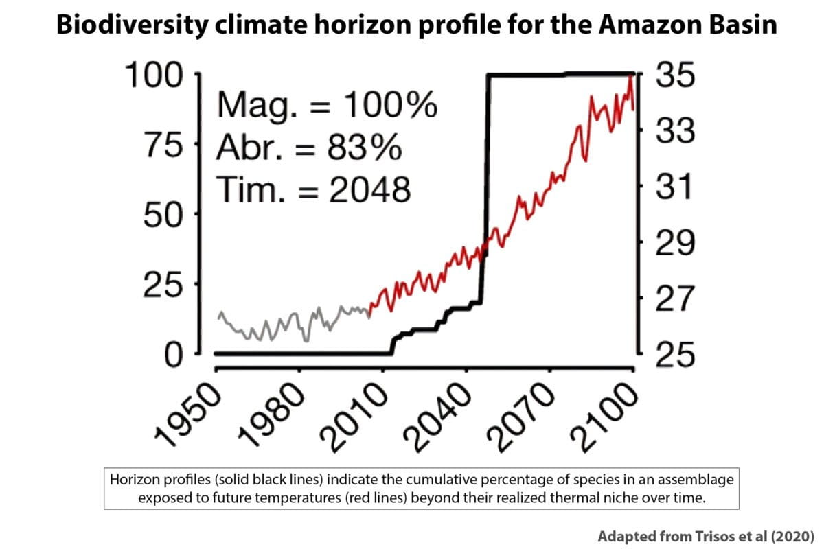 “Game over” for the Amazon forest and global climate if Trump wins ...