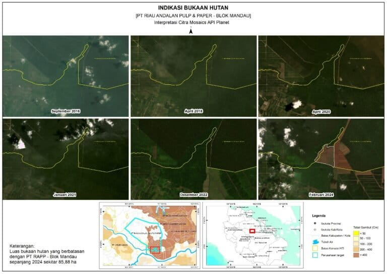 Sumatra pulp & paper giants violate zero-deforestation pledge ...