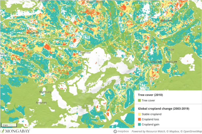 Activists in Cameroon repeatedly questioned by authorities following ...