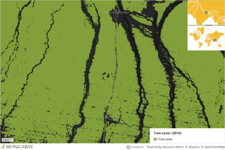 Nepal’s youngest national park looks to elevated lanes to prevent roadkill