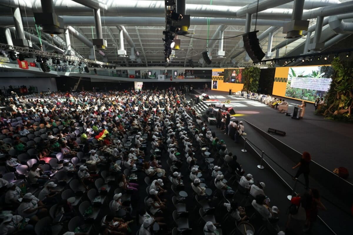 To host 2025 climate summit, Brazil will carve up an Amazonian reserve