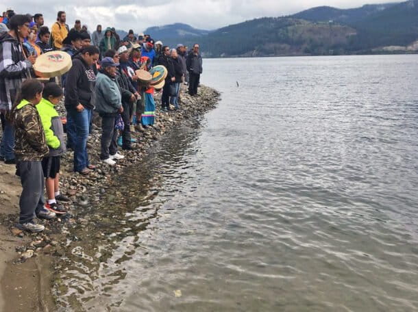 A tribe once declared ‘extinct’ helps reintroduce salmon to the ...