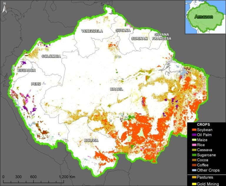 New datasets identify which crops deforest the Amazon, and where