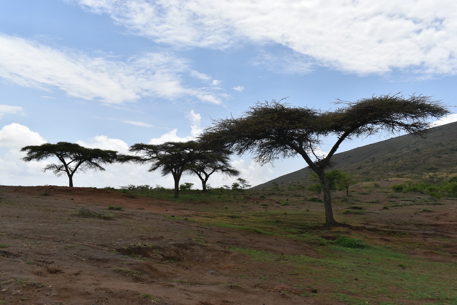 Holistic care for an Ethiopian lake system: Interview with Redwan Mohammed