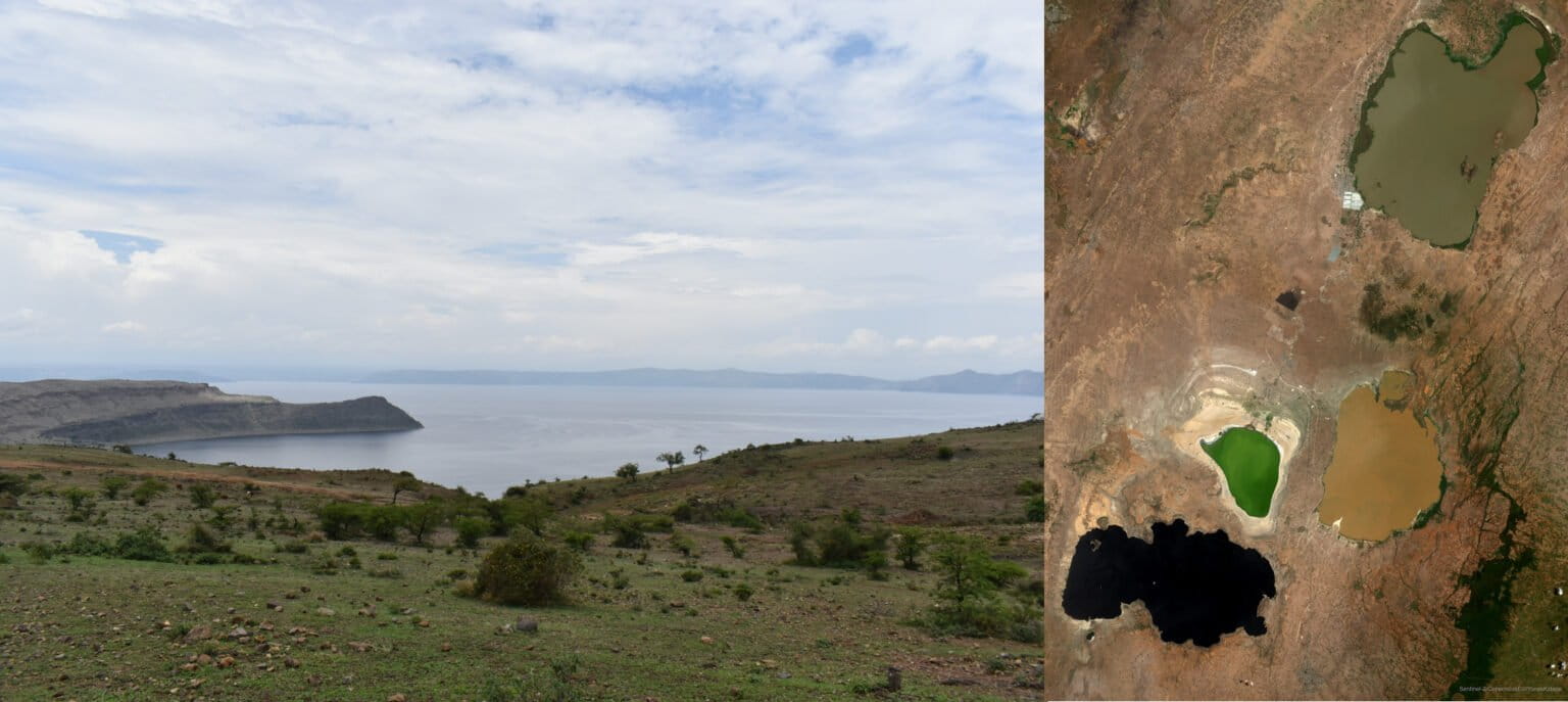 Holistic care for an Ethiopian lake system: Interview with Redwan Mohammed