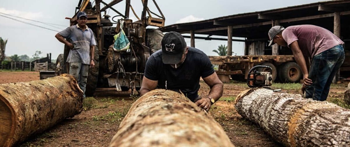 Amazon Fraud 101: How timber credits mask illegal logging in Brazil