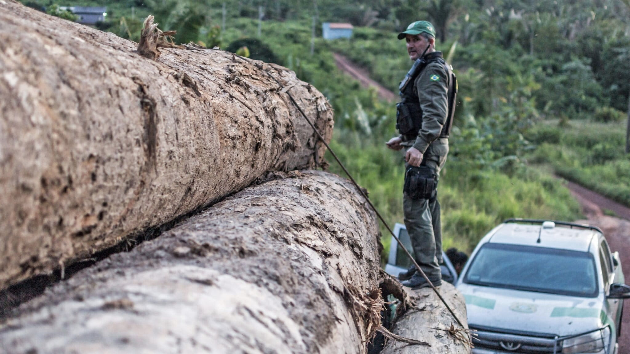 Amazon Fraud 101: How timber credits mask illegal logging in Brazil