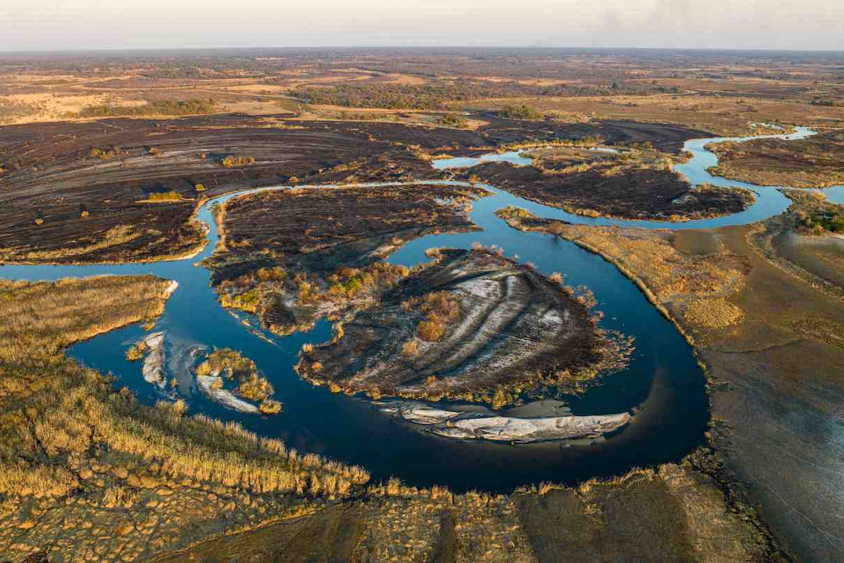 As southern African freshwater fish & fisheries struggle, collaboration ...