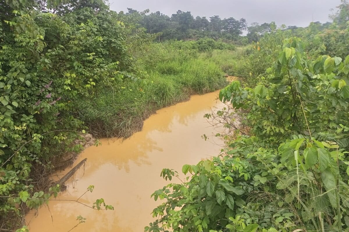 Ghana hollows out forests and green protections to advance mining interests