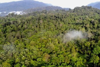 Indonesia's Farwiza Farhan among Ramon Magsaysay awardees for ...