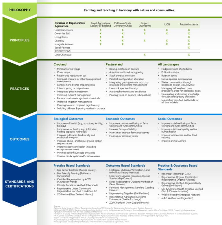 Action at Scale: Elizabeth Yee on The Rockefeller Foundation’s Climate ...