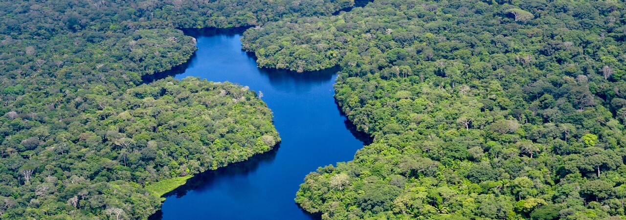 Clearest picture yet of Amazon carbon density could help guide conservation
