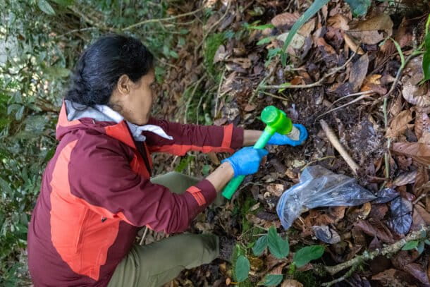 To save endangered trees, researchers in South America recruit an army ...