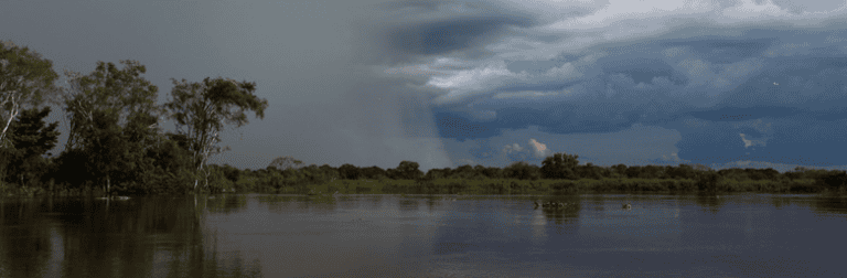 The rubber boom and its legacy in Brazil, Peru, Bolivia and Colombia