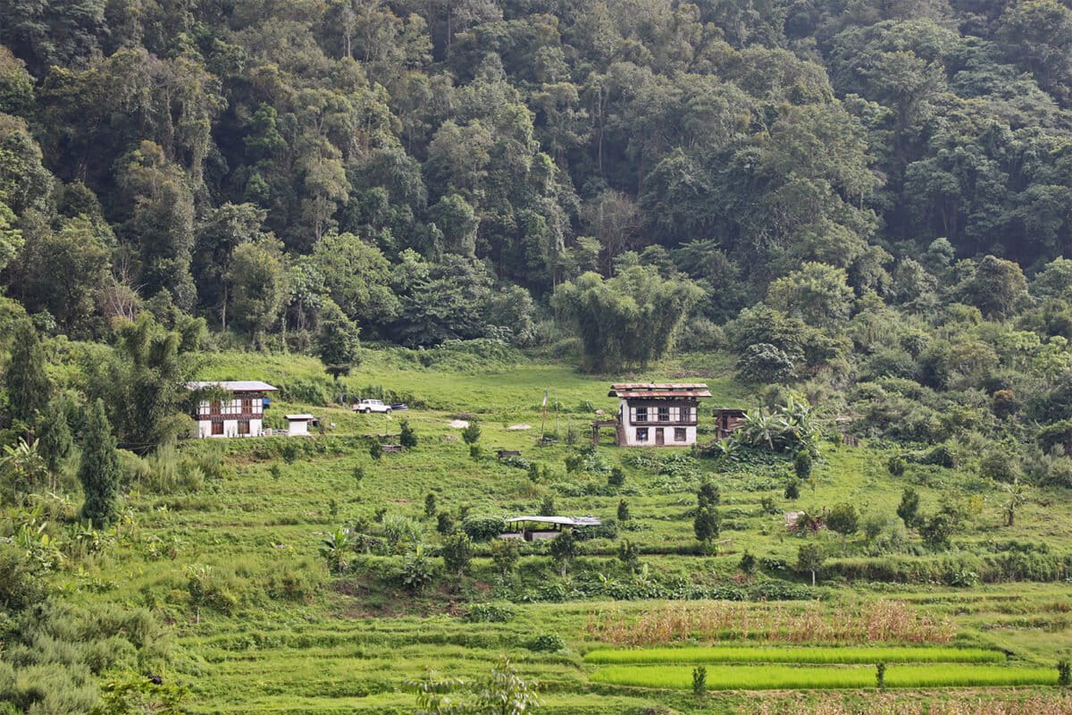 In Bhutan, a smoked fish tradition helps sustain a vanishing ethnic group
