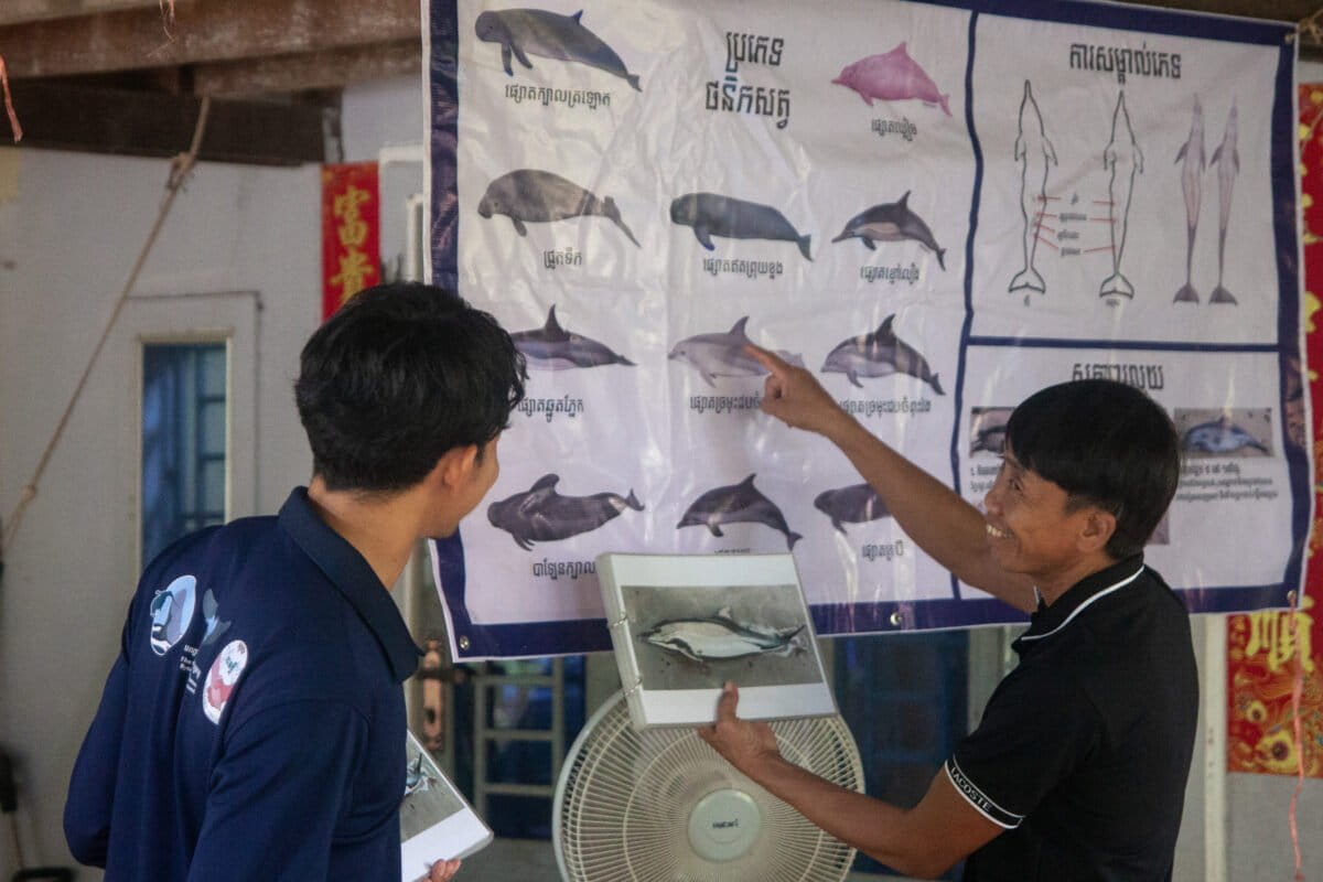 Cambodian fishers-turned-citizen scientists monitor marine mammal deaths