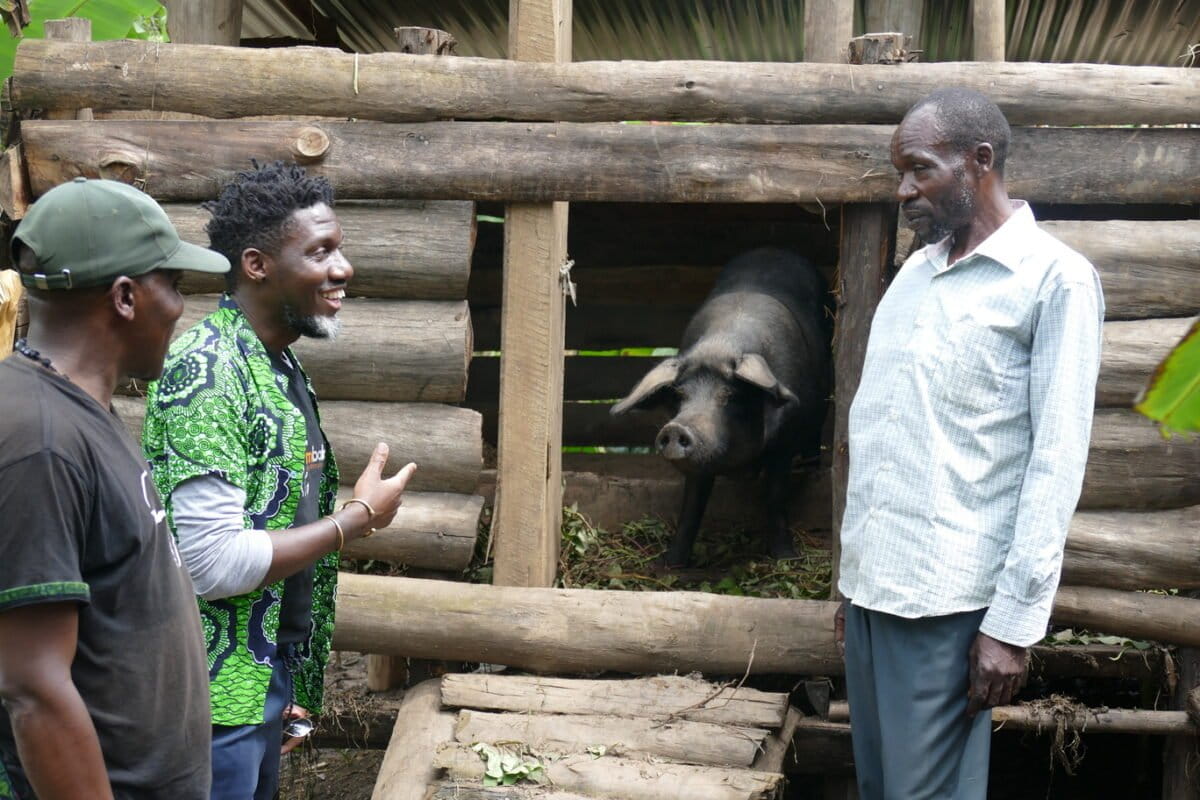 Africa’s little-known golden cat gets a conservation boost, with ...