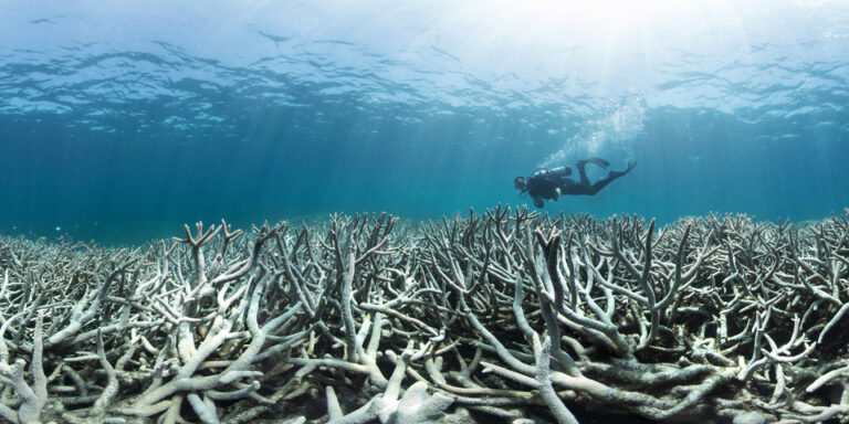 As 25 Earth vital signs worsen, scientists warn of ‘irreversible ... As 25 Earth vital signs worsen, scientists warn of ‘irreversible ...