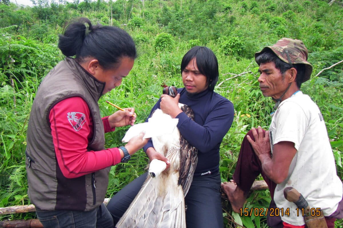 The tribal leader dedicating his life to protect Philippine's critically-endangered national bird