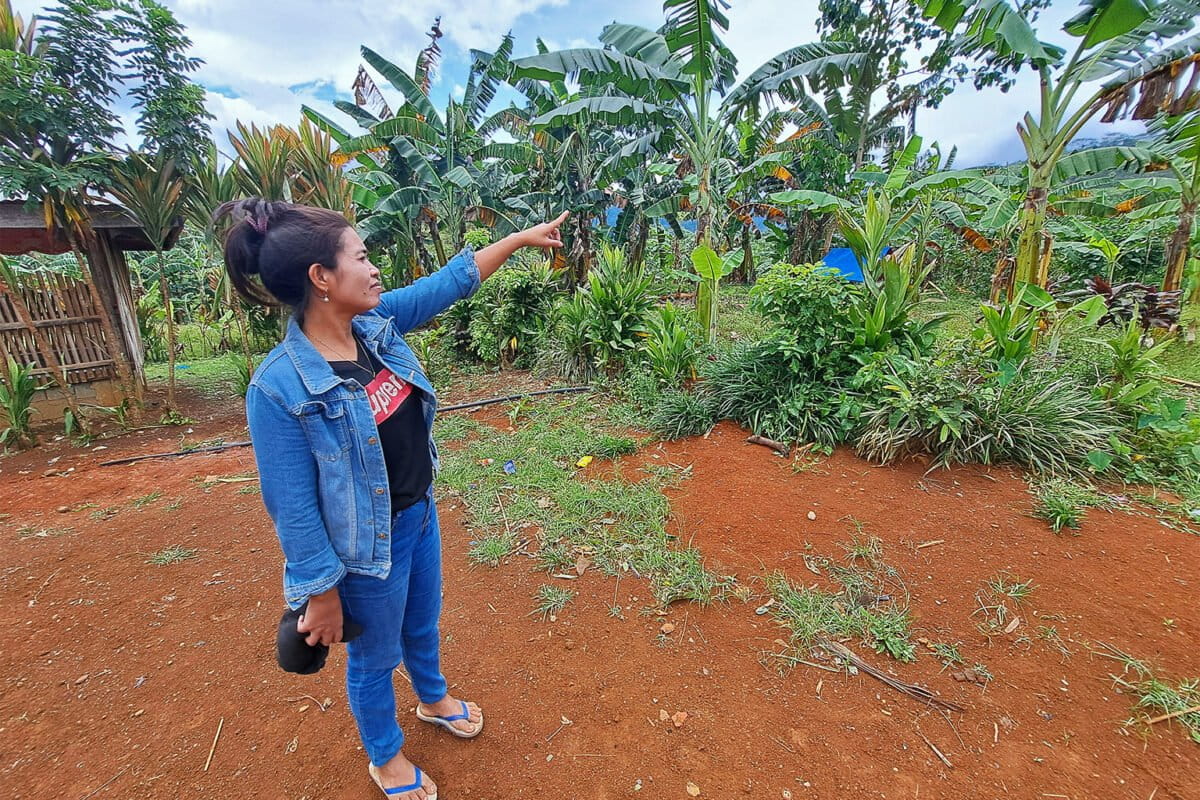 The tribal leader dedicating his life to protect Philippine's critically-endangered national bird