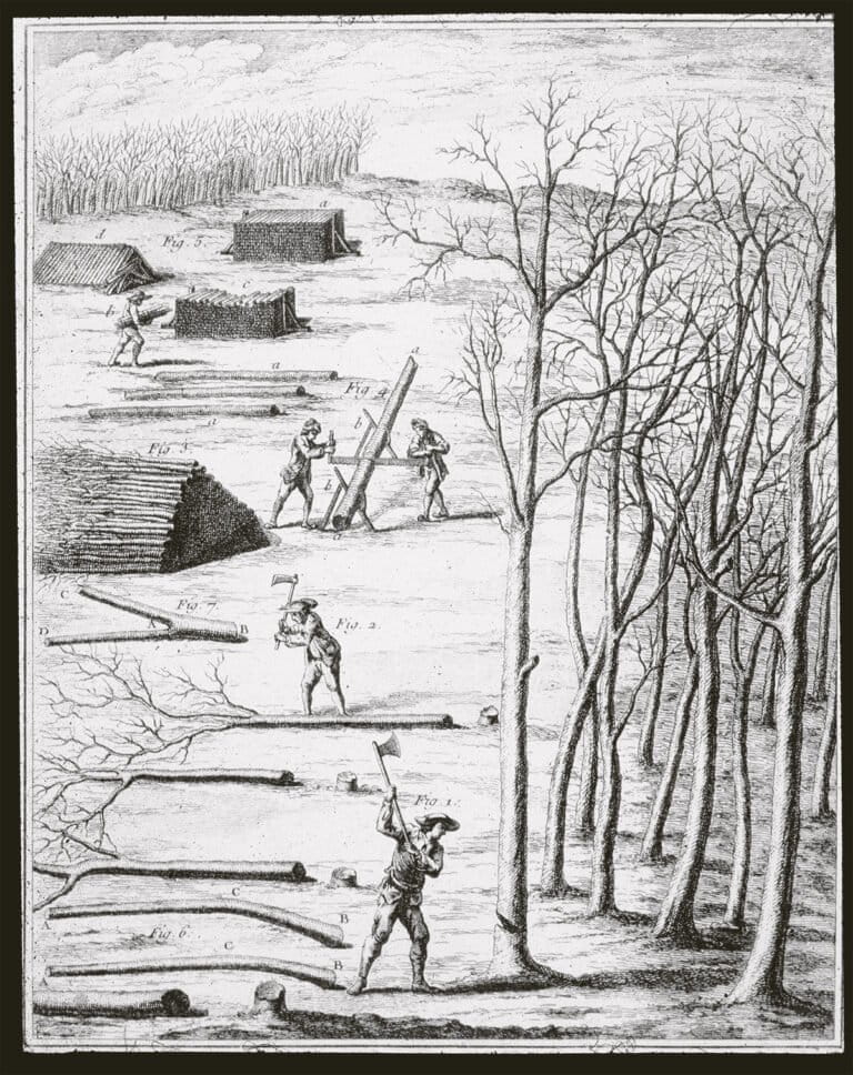 Forests and the Fate of Civilizations: A Conversation with John Perlin