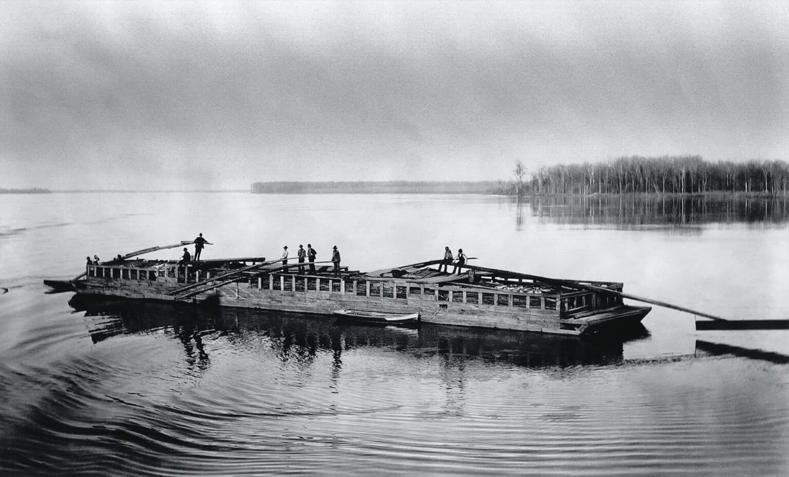 Forests and the Fate of Civilizations: A Conversation with John Perlin