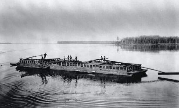 Forests and the Fate of Civilizations: A Conversation with John Perlin