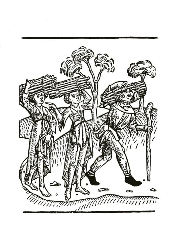 Forests and the Fate of Civilizations: A Conversation with John Perlin