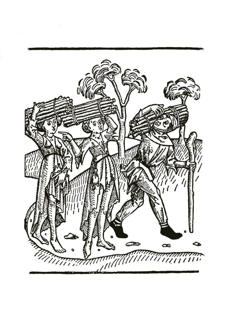 Forests and the Fate of Civilizations: A Conversation with John Perlin