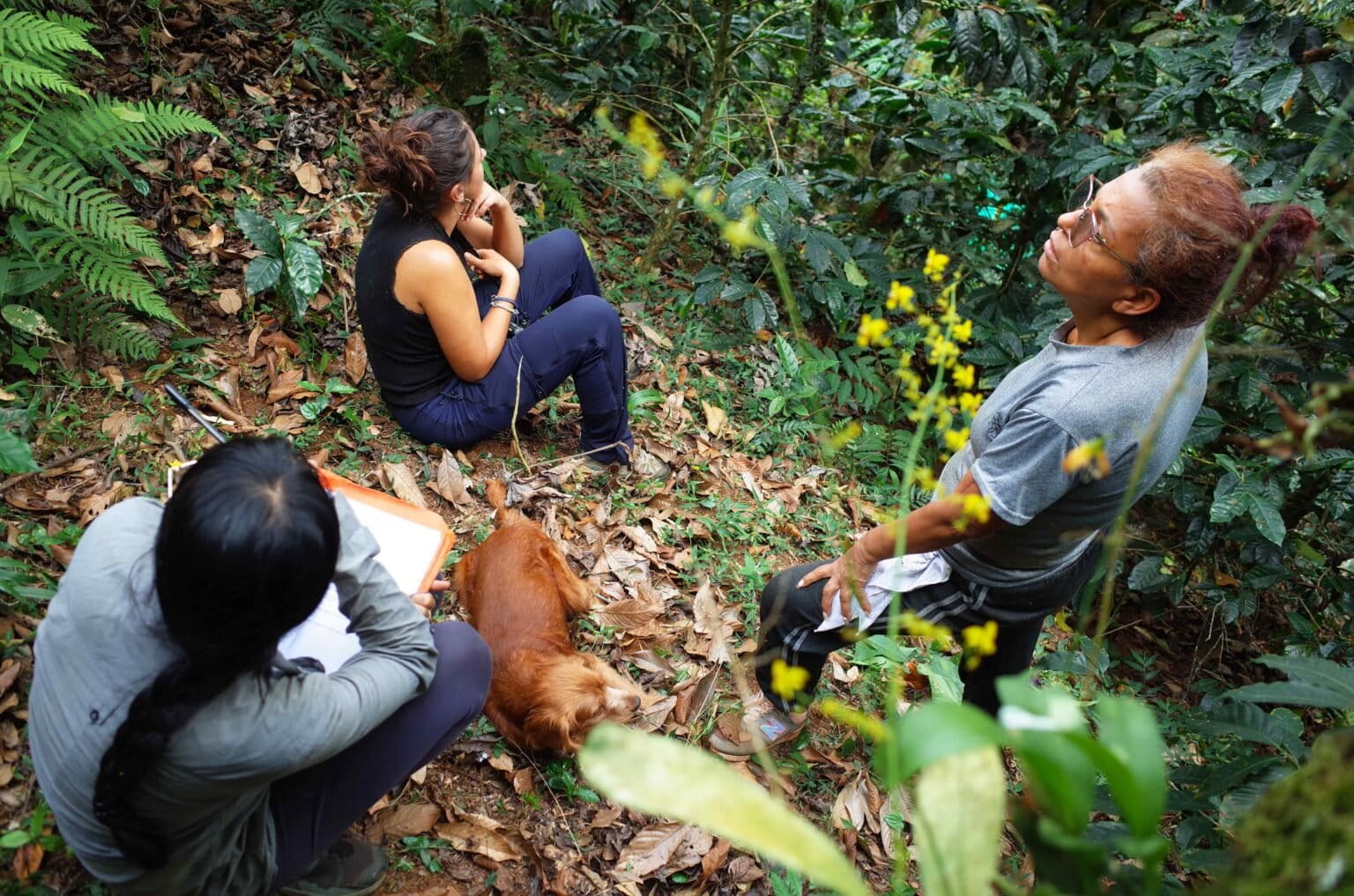 At COP16, conservationists will be neighbors with the legacy of ...