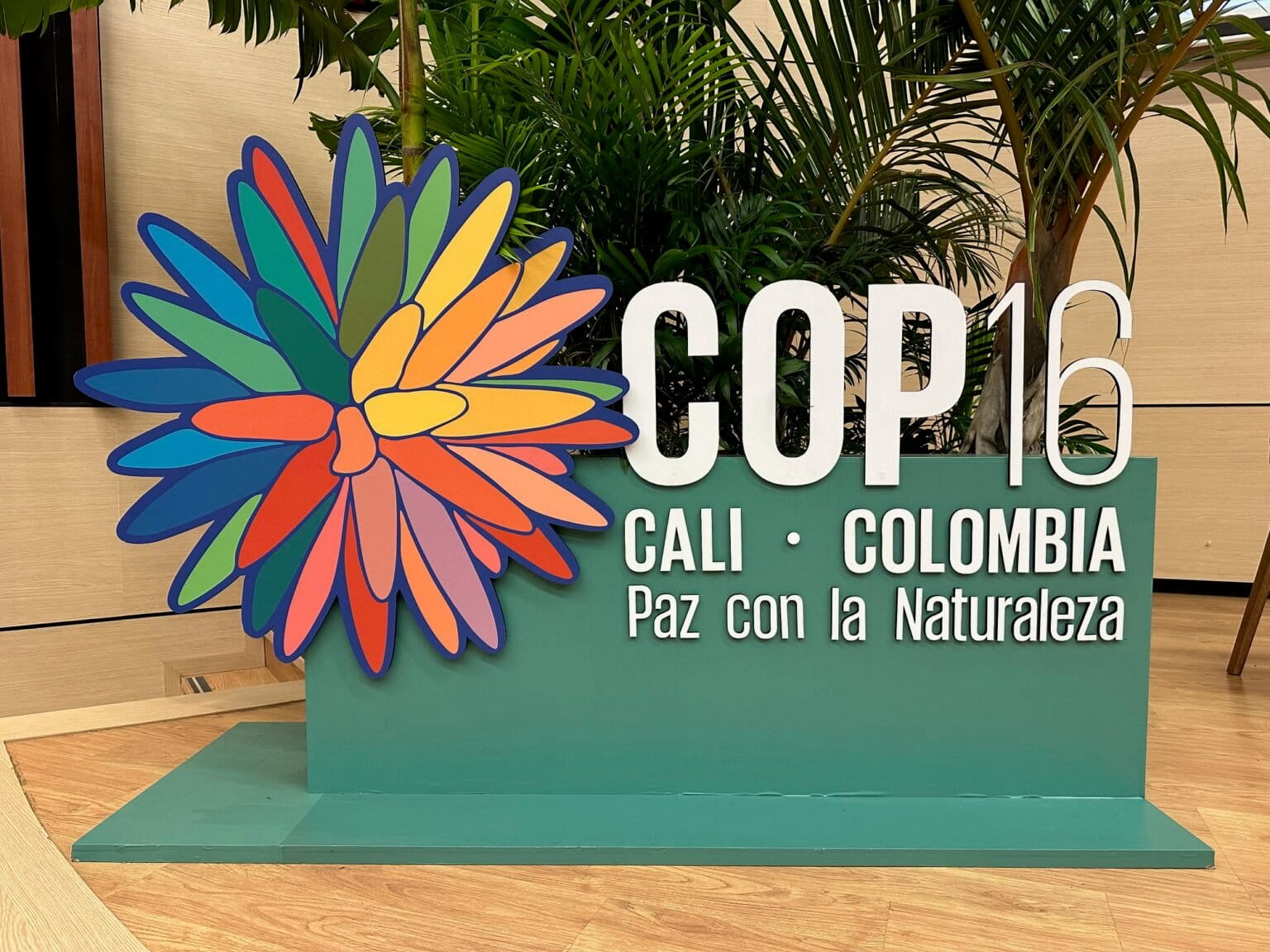 Global biodiversity financiers strategize at COP16 to end ‘perverse ...