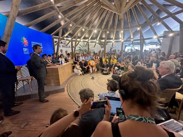 COP16: ‘A fund unlike any other’ will pay tropical nations to save forests