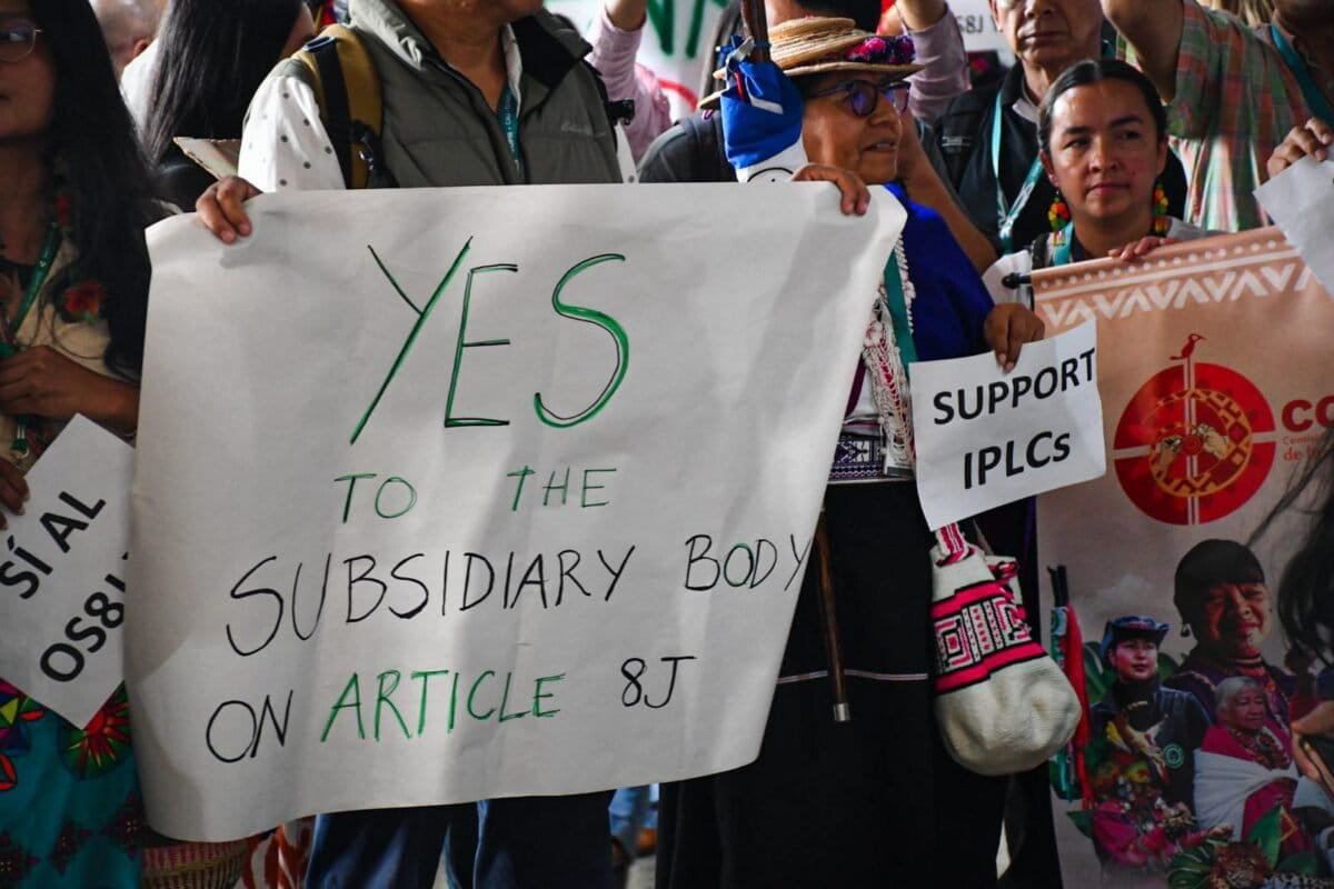 What was achieved, and not, for Indigenous and local leaders at COP16